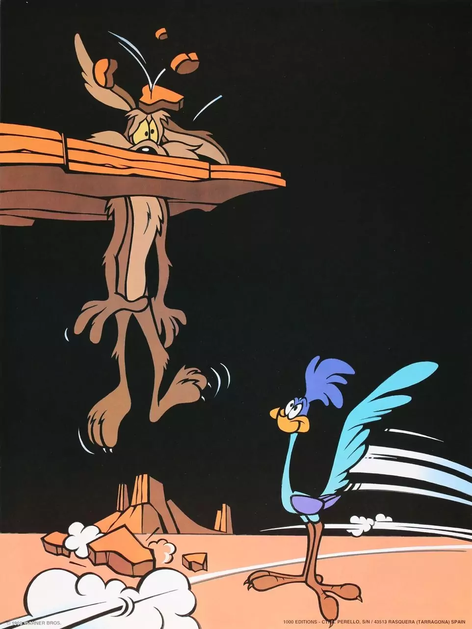 Bip-Bip & Vil Coyote 30X40 cm - AKILON