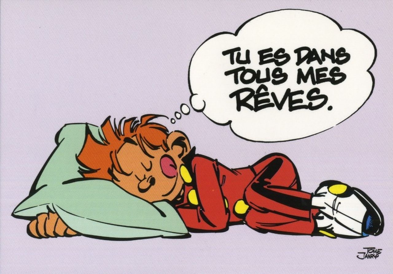 Tome et Janry, Spirou et Fantasio, Assortiment de 24 cartes postales ...